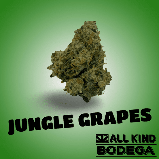 Jungle Grapes 3.5g Flower (@flamingomaine) at All Kind Bodega AMS331